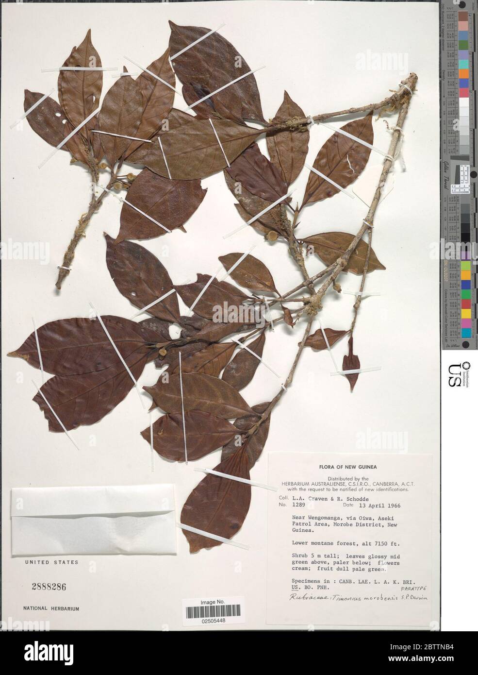 Darwin specimen hi-res stock photography and images - Alamy