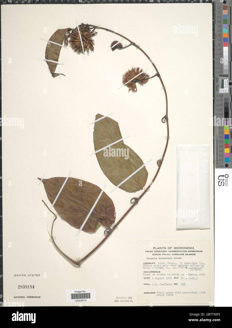 Kaneh hi-res stock photography and images - Alamy