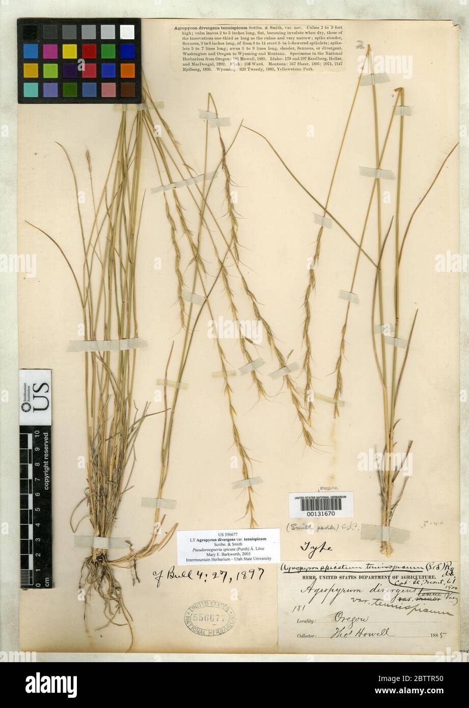 Scribn hi-res stock photography and images - Alamy