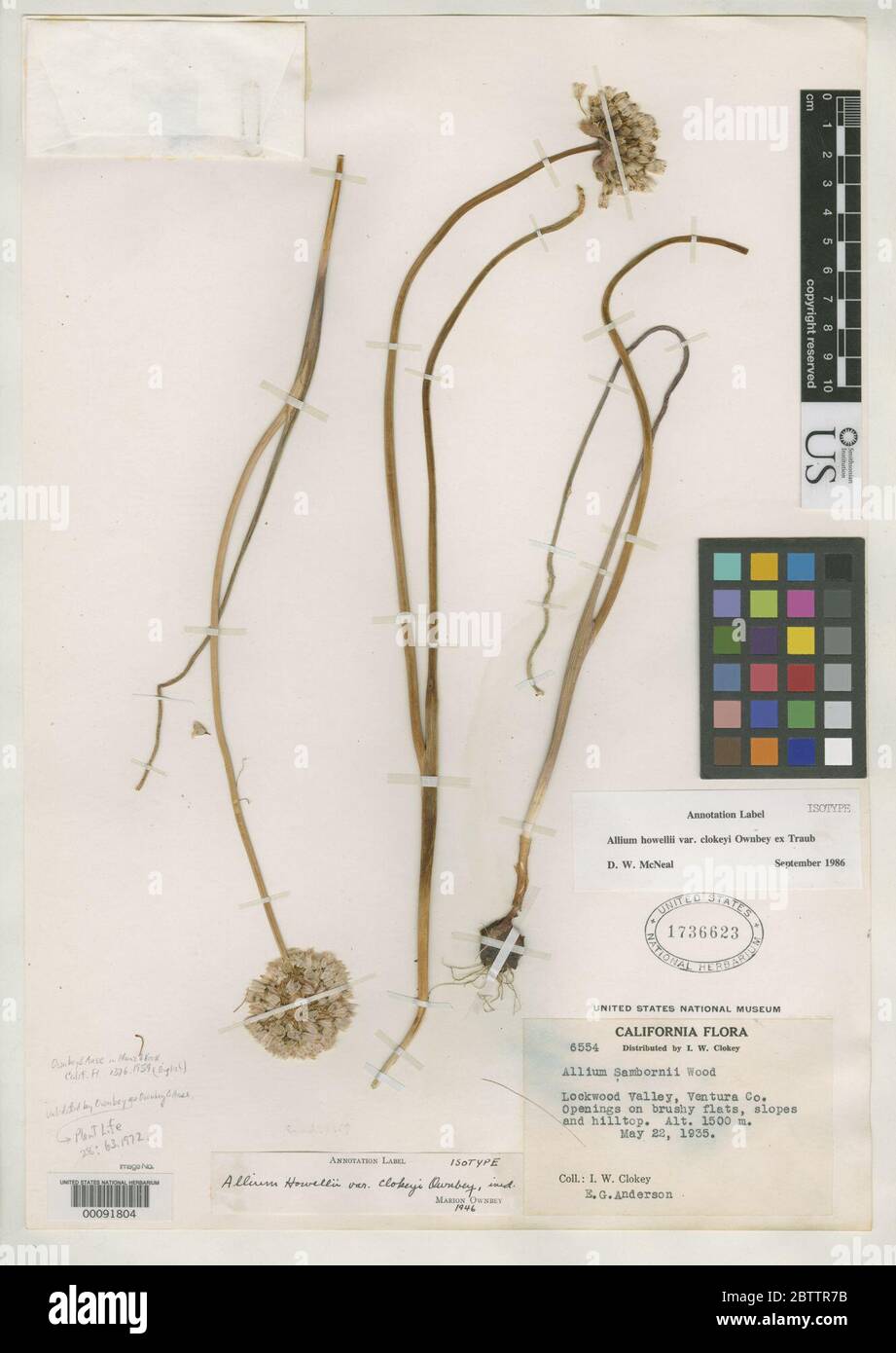 Aase hi-res stock photography and images - Alamy