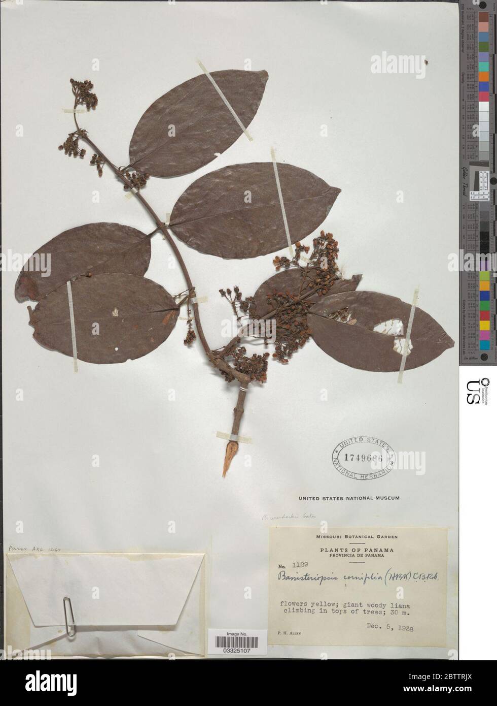 B gates hi-res stock photography and images - Alamy