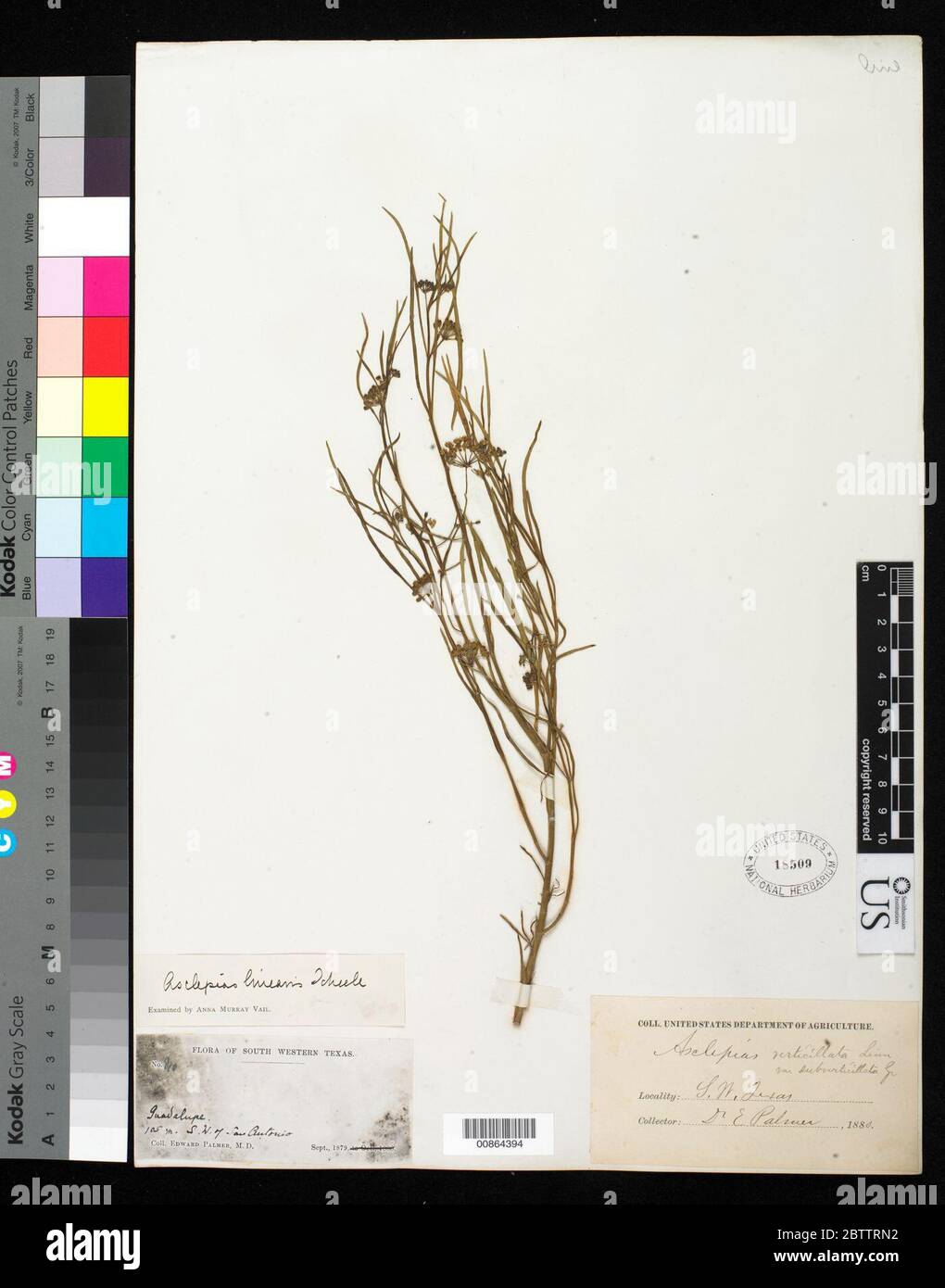 Scheele hi-res stock photography and images - Alamy