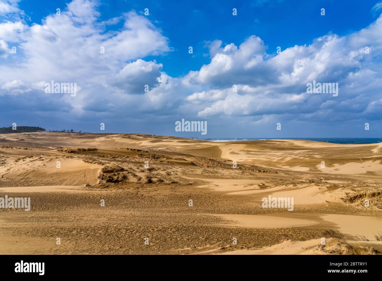 Tottori Sand Dunes (Tottori Sakyu). The largest sand dune in Japan, a ...