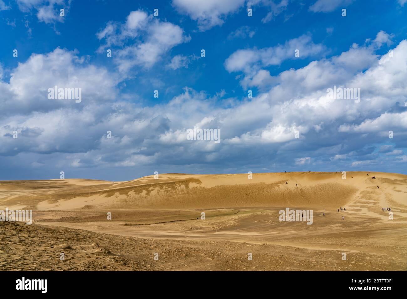 Tottori Sand Dunes (Tottori Sakyu). The largest sand dune in Japan, a ...