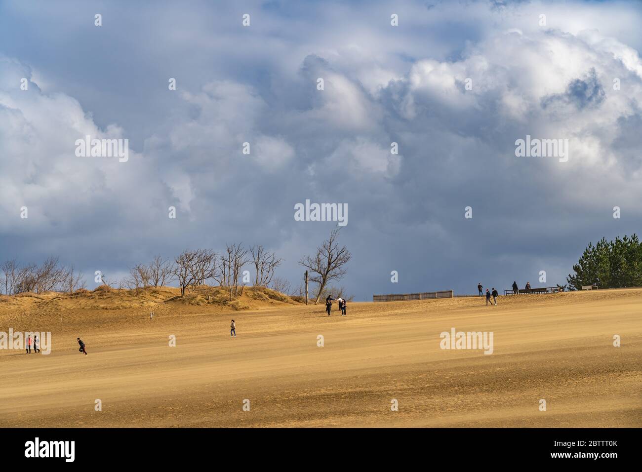 Tottori Sand Dunes (Tottori Sakyu). The largest sand dune in Japan, a ...