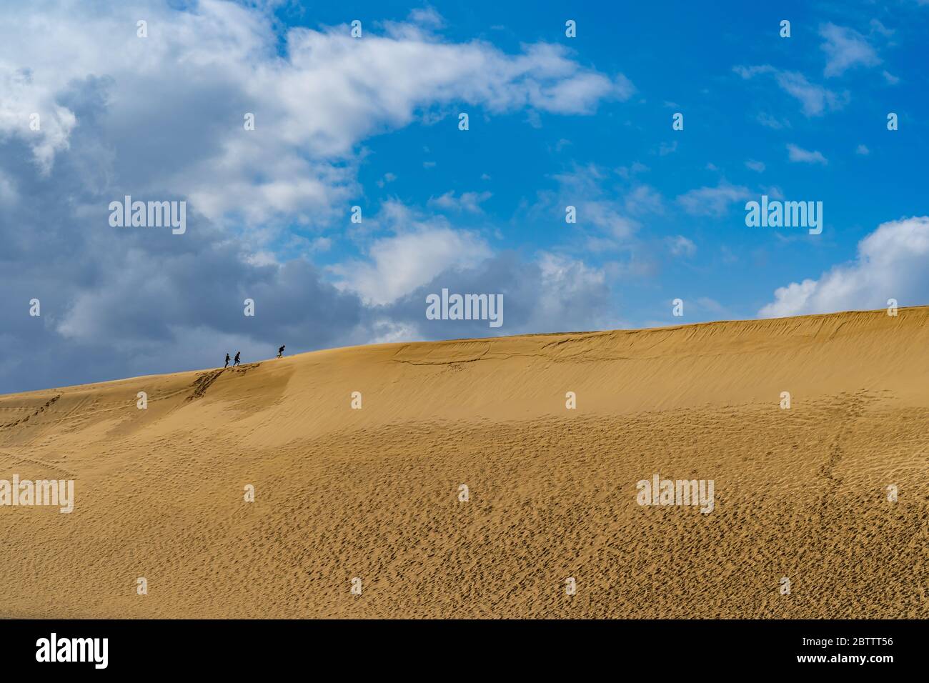 Dune slope hi-res stock photography and images - Alamy