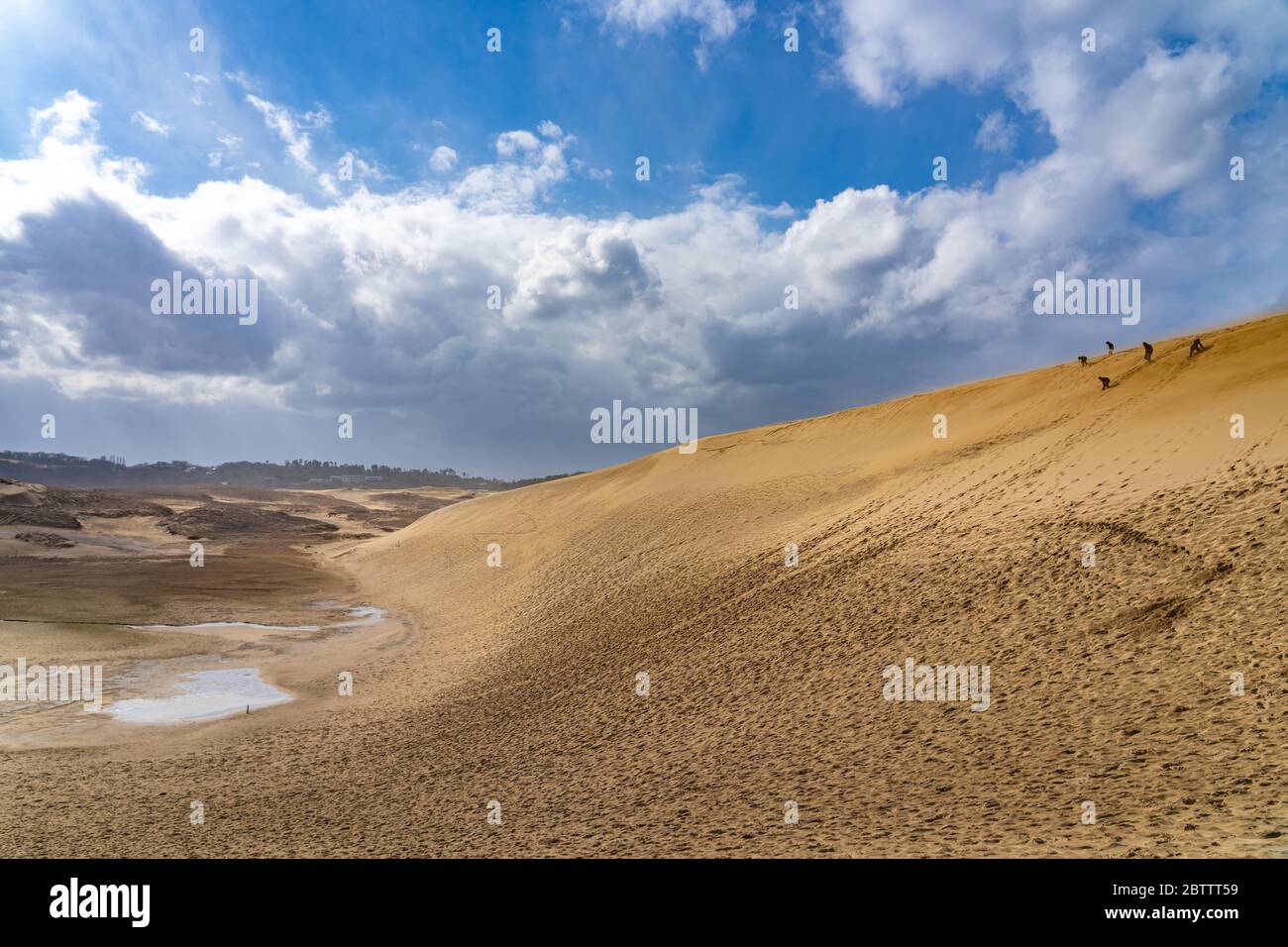 Tottori Sand Dunes (Tottori Sakyu). The largest sand dune in Japan, a ...
