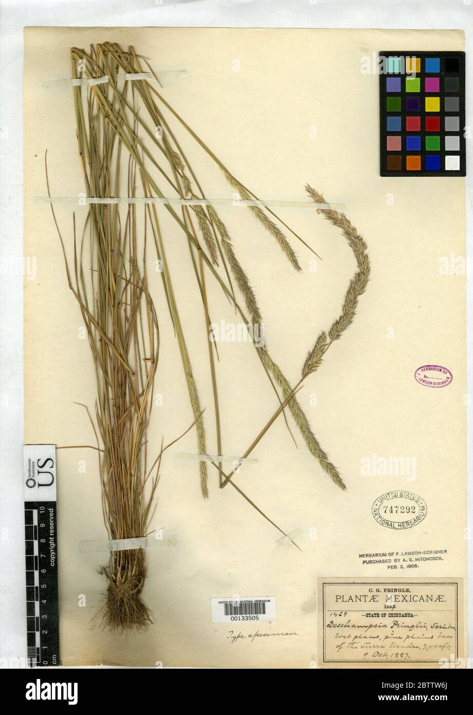 Scribn hi-res stock photography and images - Alamy