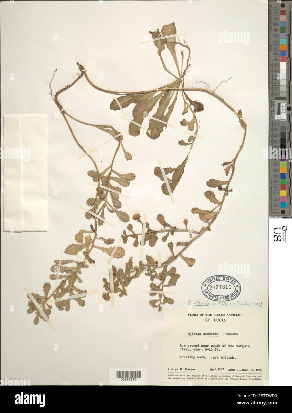 Shinners hi-res stock photography and images - Alamy