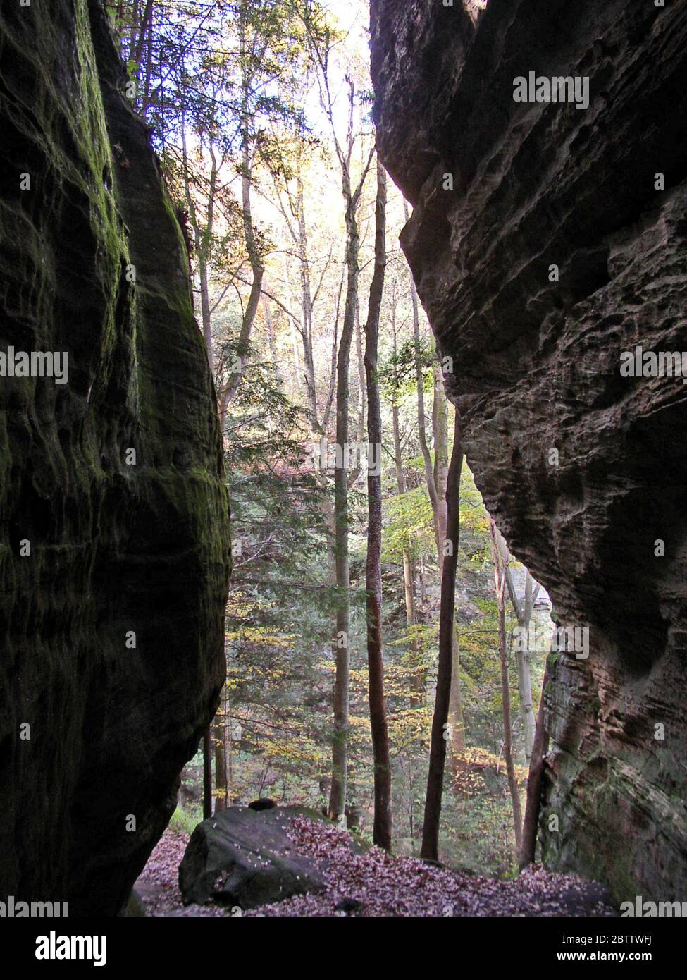 Hocking Hills State Park, Ohio Stock Photo - Alamy