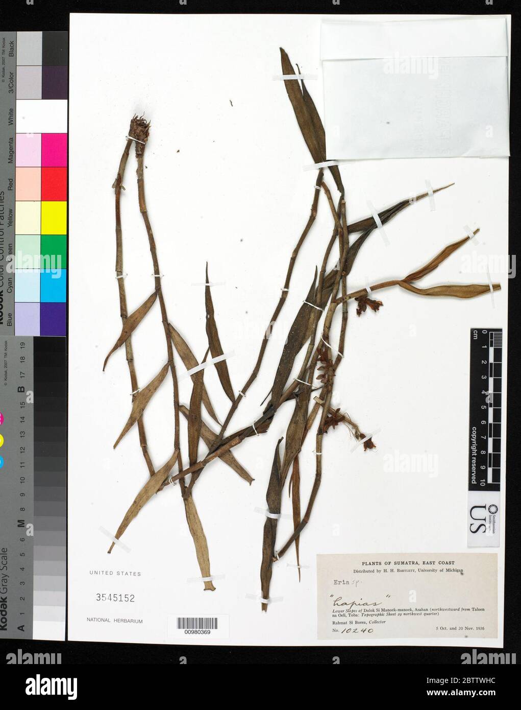 Eria hi-res stock photography and images - Alamy