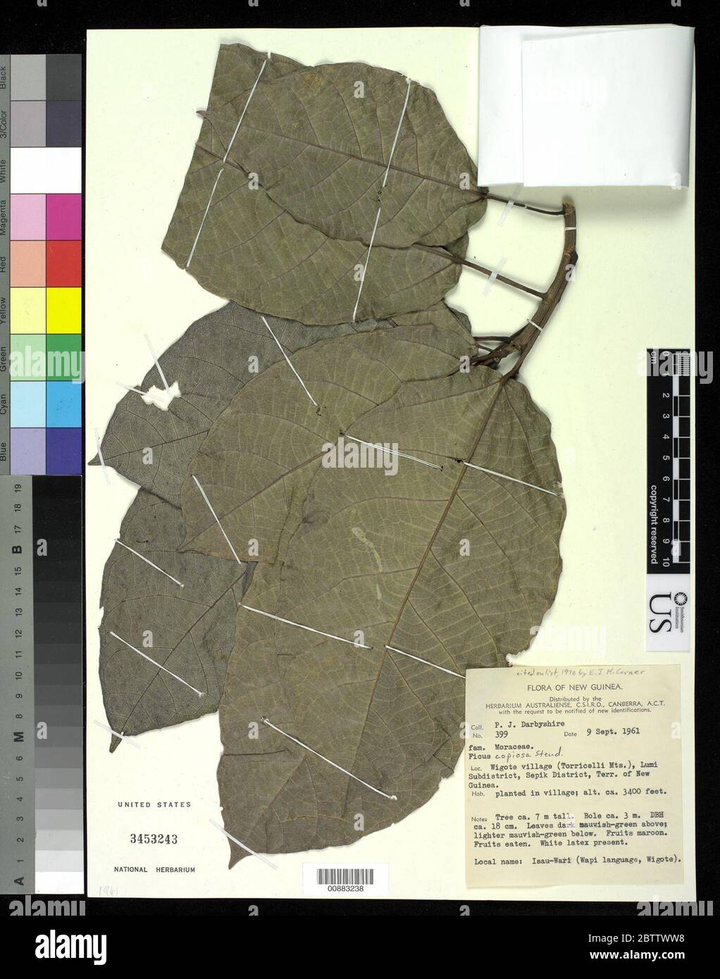 Steud hi-res stock photography and images - Alamy