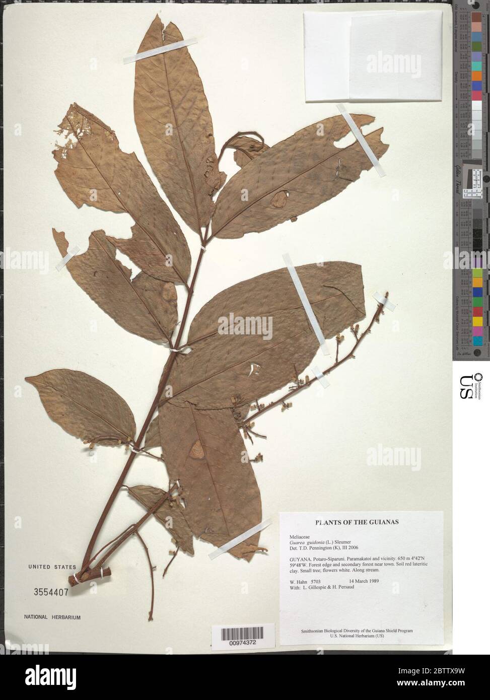 Sleumer hi-res stock photography and images - Alamy