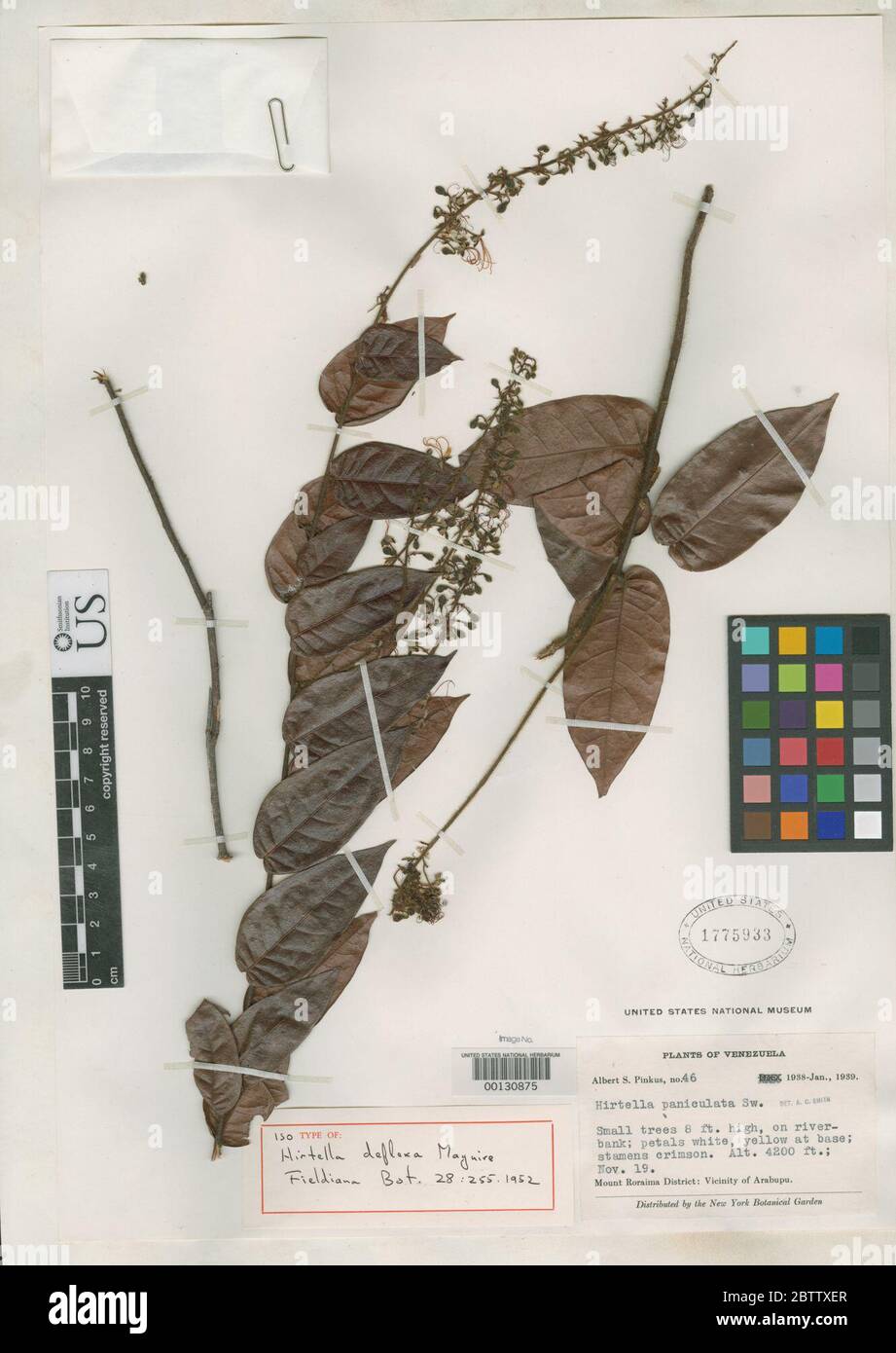 Deflexa hi-res stock photography and images - Alamy