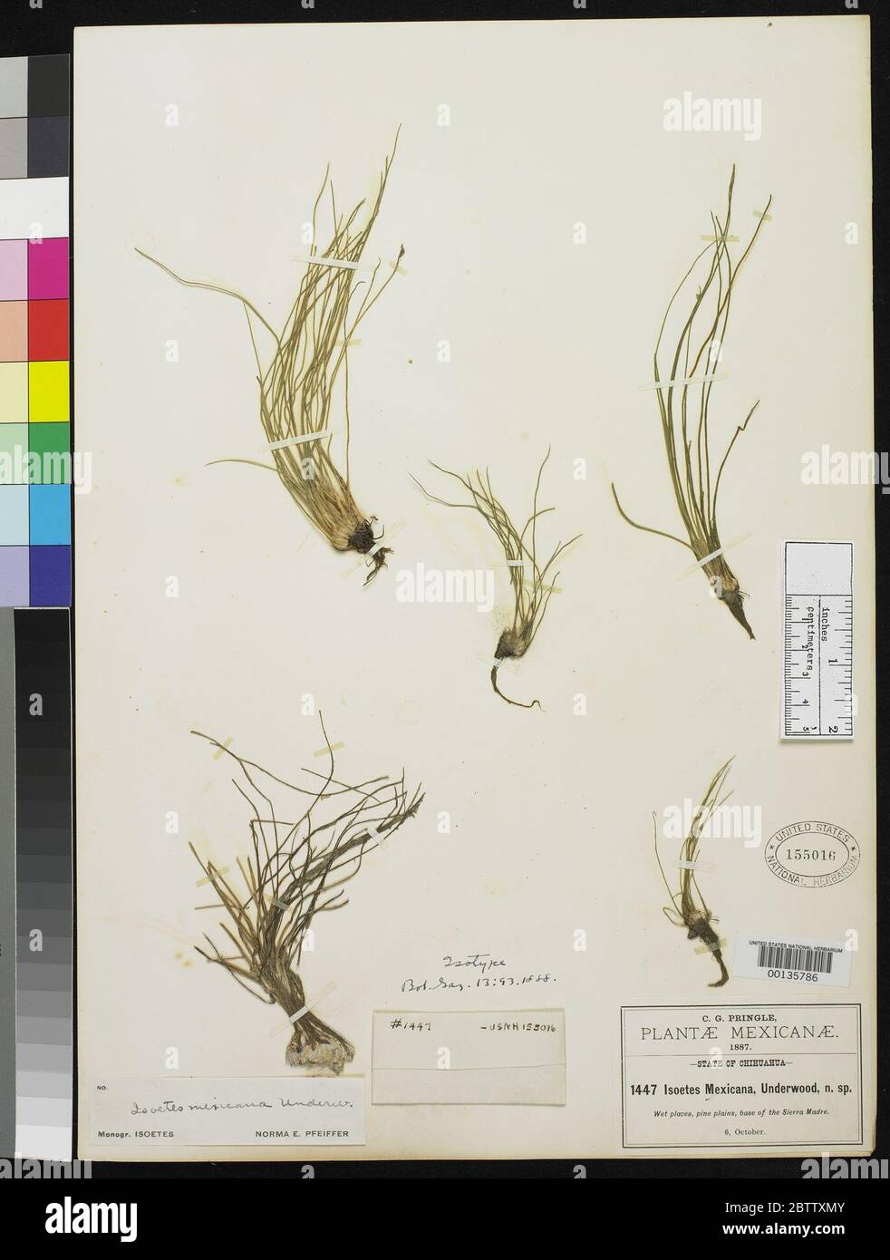 Underw hi-res stock photography and images - Alamy