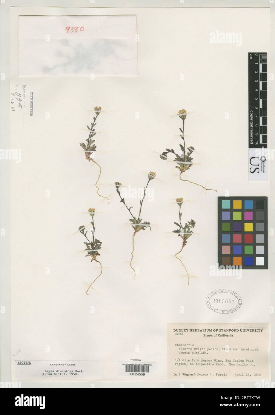 Dd disc hi-res stock photography and images - Alamy