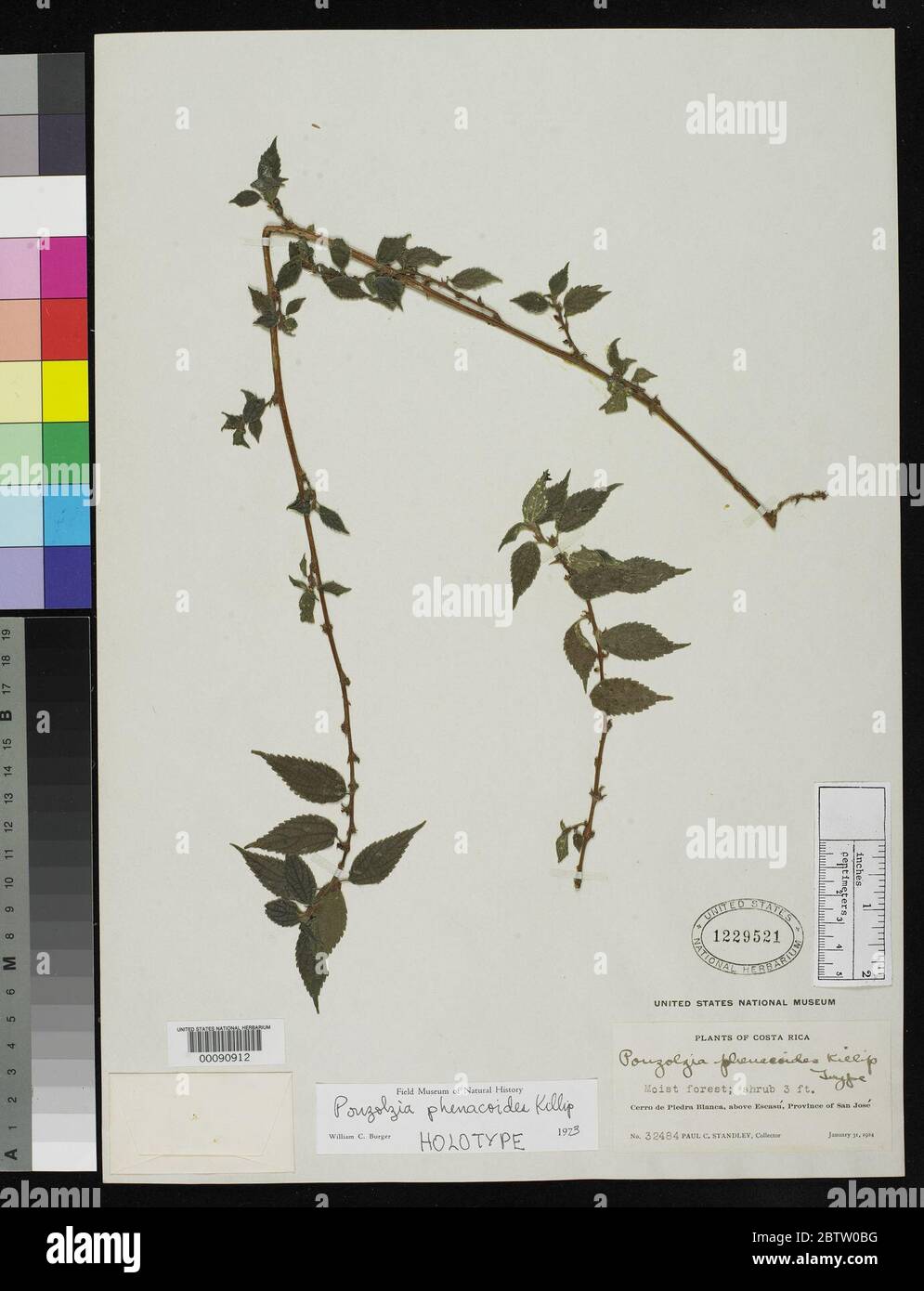 Killip hi-res stock photography and images - Alamy