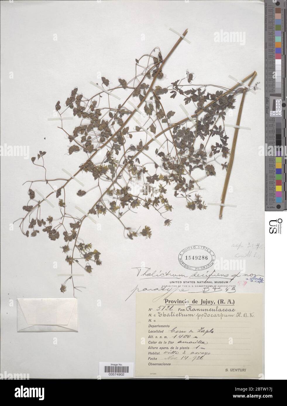 Boivin hi-res stock photography and images - Alamy