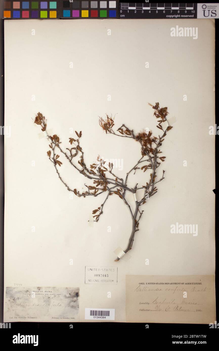 Conferta hi-res stock photography and images - Alamy