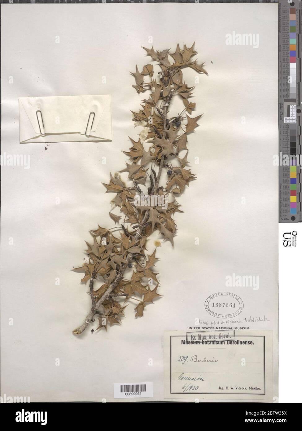 Monic hi-res stock photography and images - Alamy