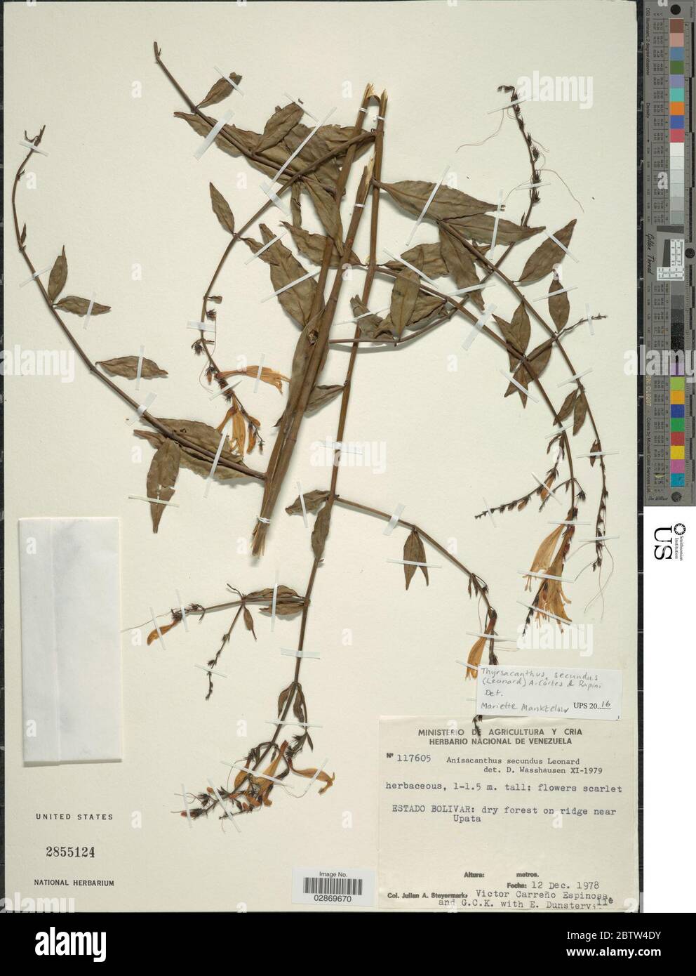 Secundus hi-res stock photography and images - Alamy