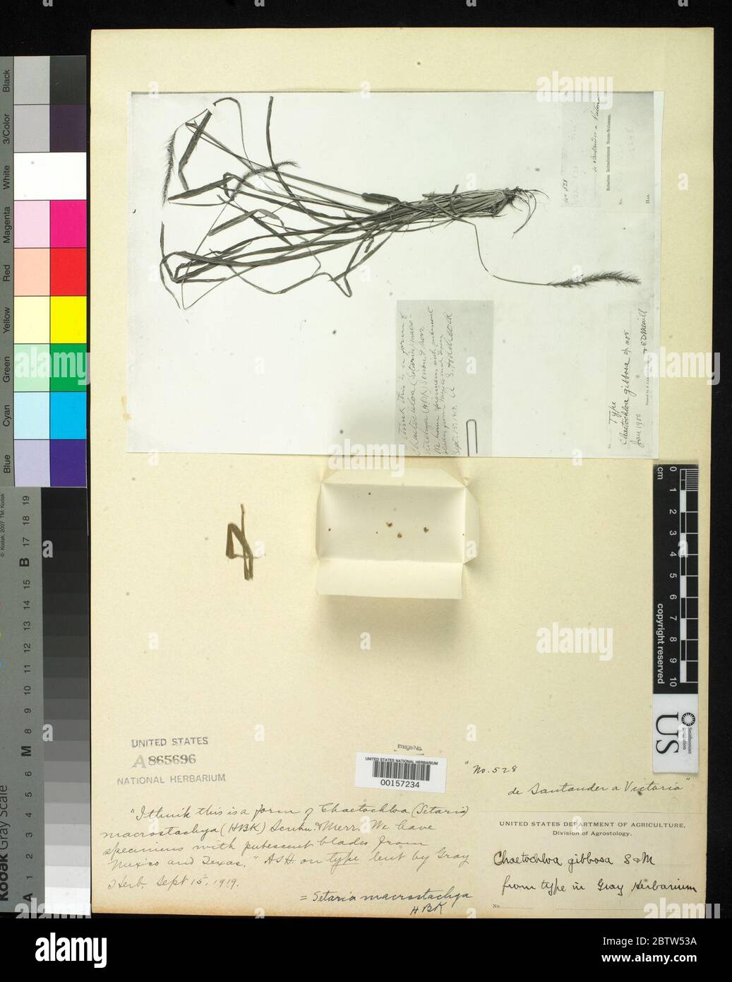 Scribn hi-res stock photography and images - Alamy