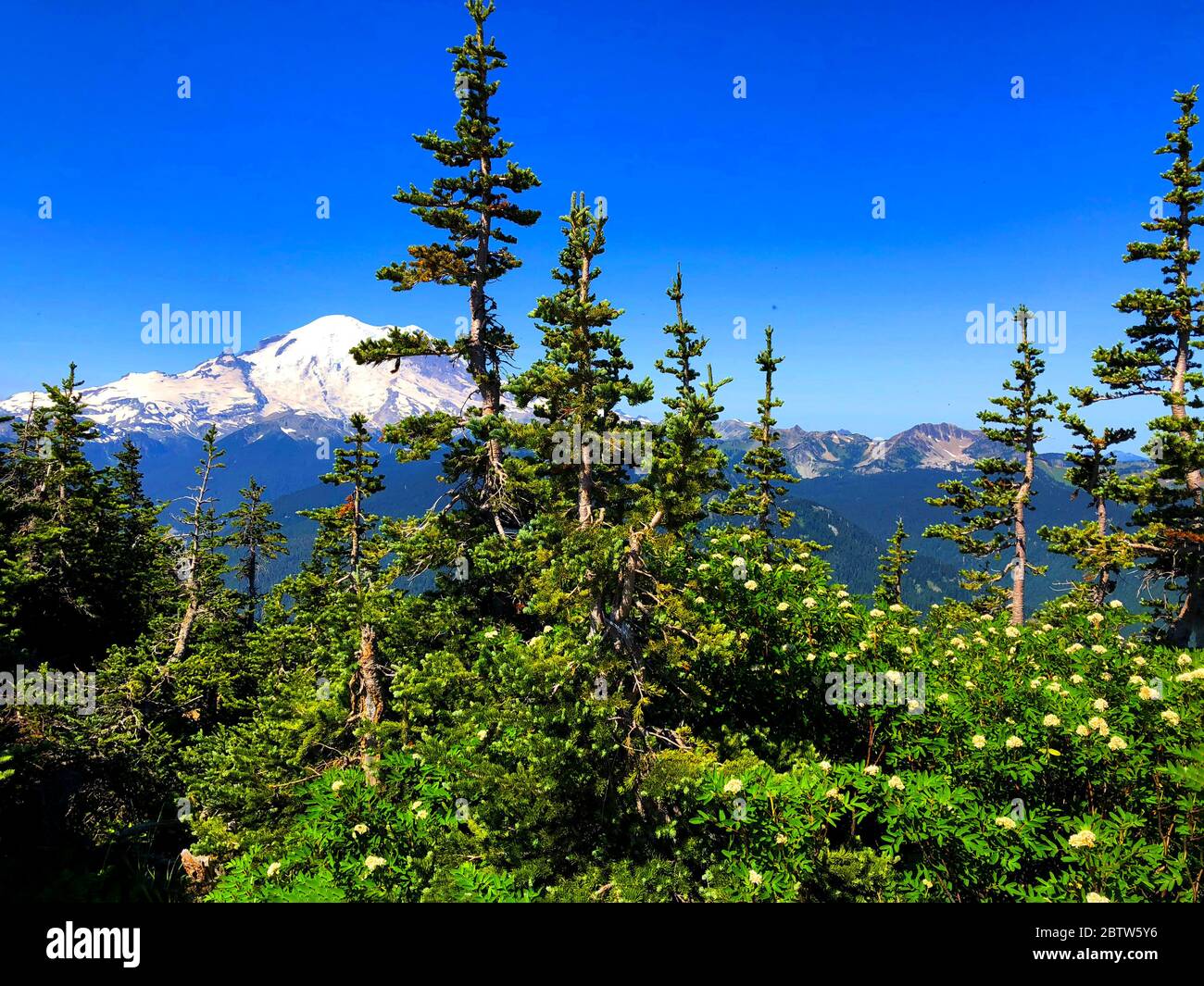 Crystal Mountain Summit in Washington state Stock Photo - Alamy