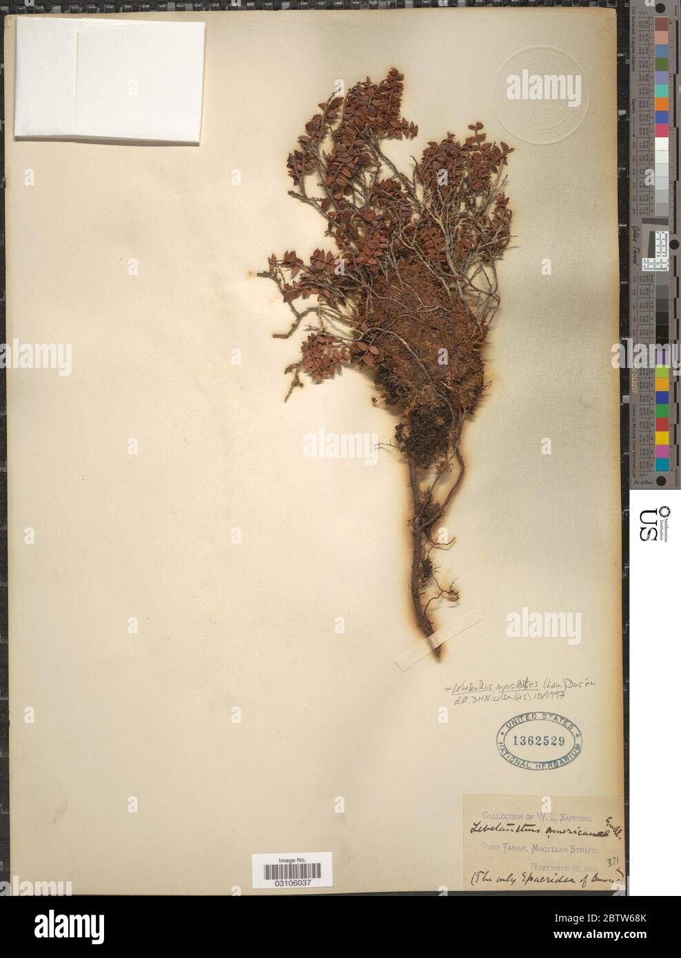 Dusn hi-res stock photography and images - Alamy