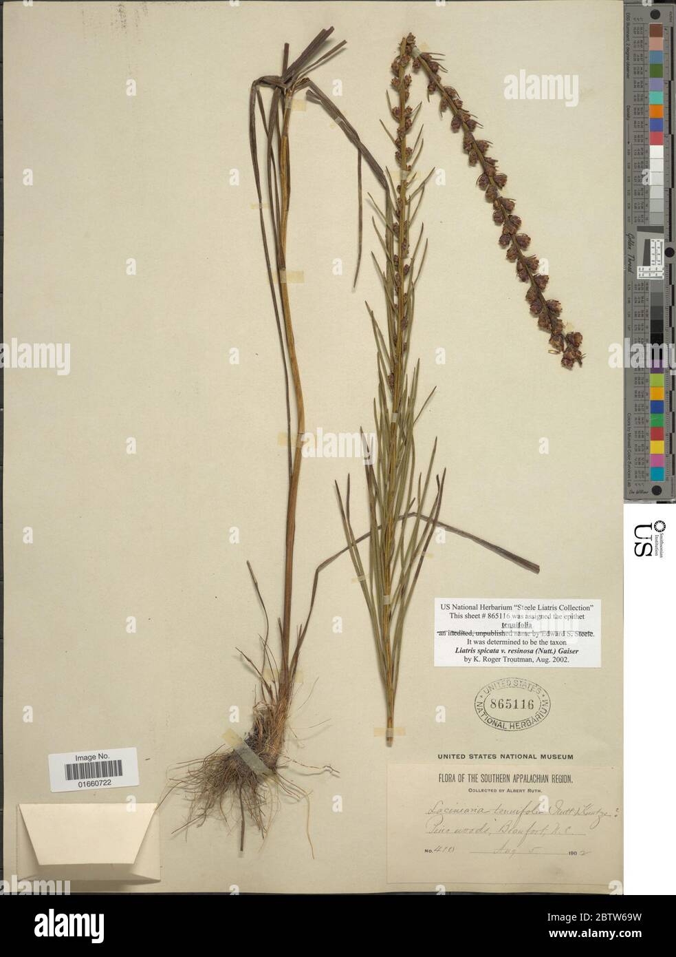 Gaiser hi-res stock photography and images - Alamy