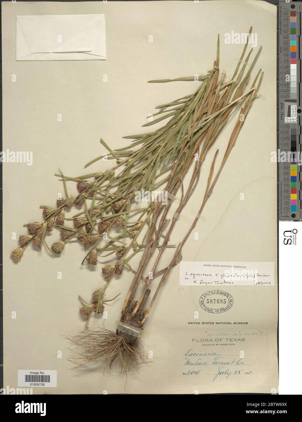 Gaiser hi-res stock photography and images - Alamy