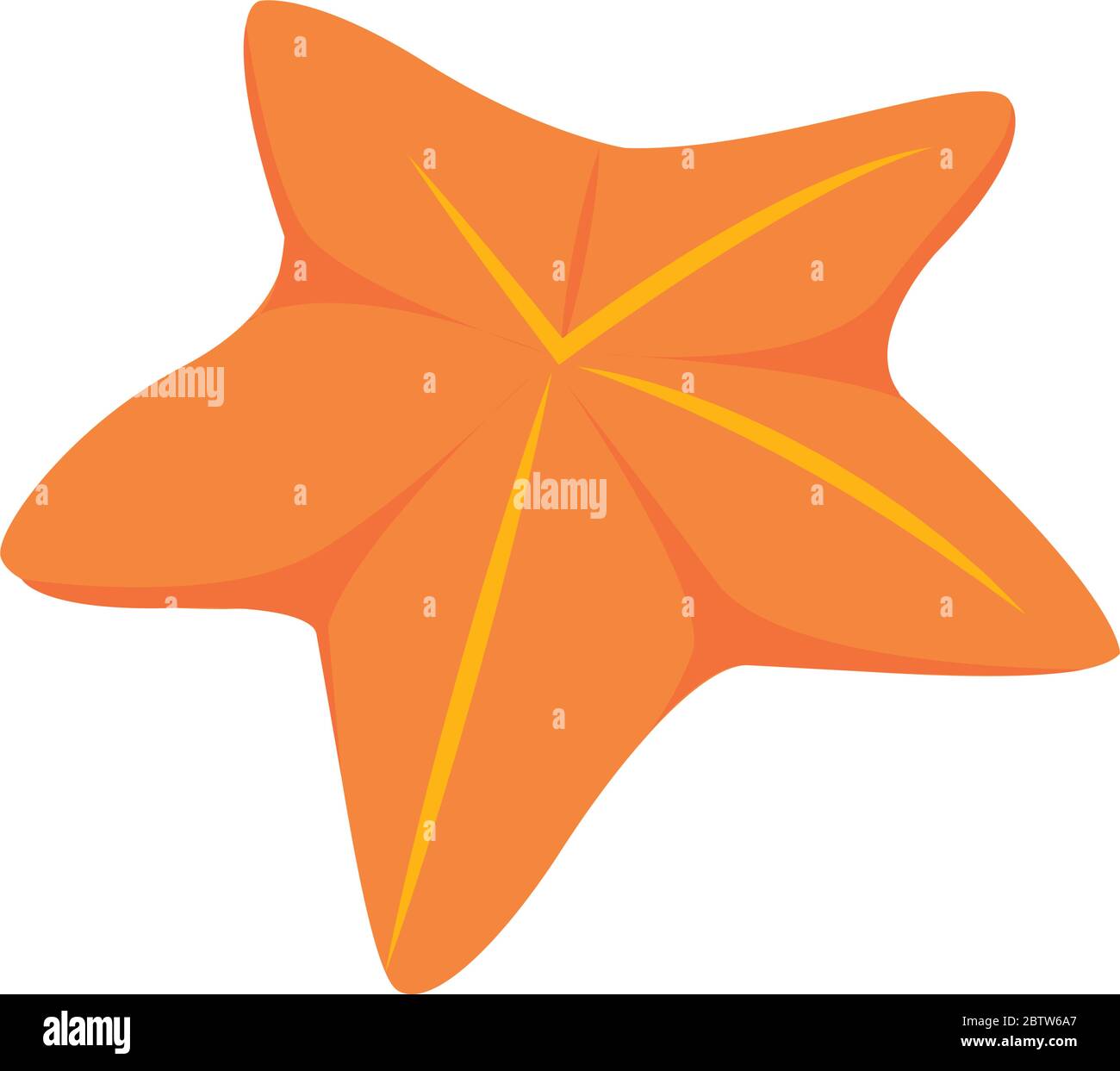 Art shell sea star Stock Vector Images - Alamy