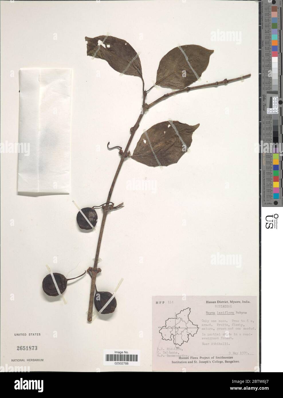 Meyna hi-res stock photography and images - Alamy