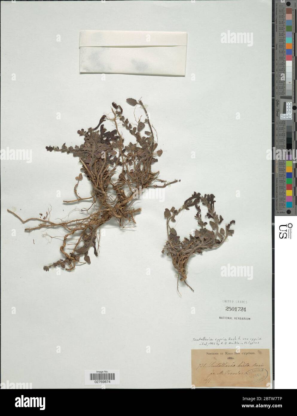 Cypria hi-res stock photography and images - Alamy