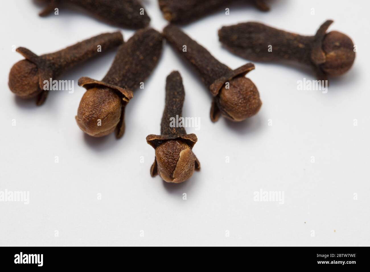 Closu-up view of dried cloves on white background Stock Photo - Alamy