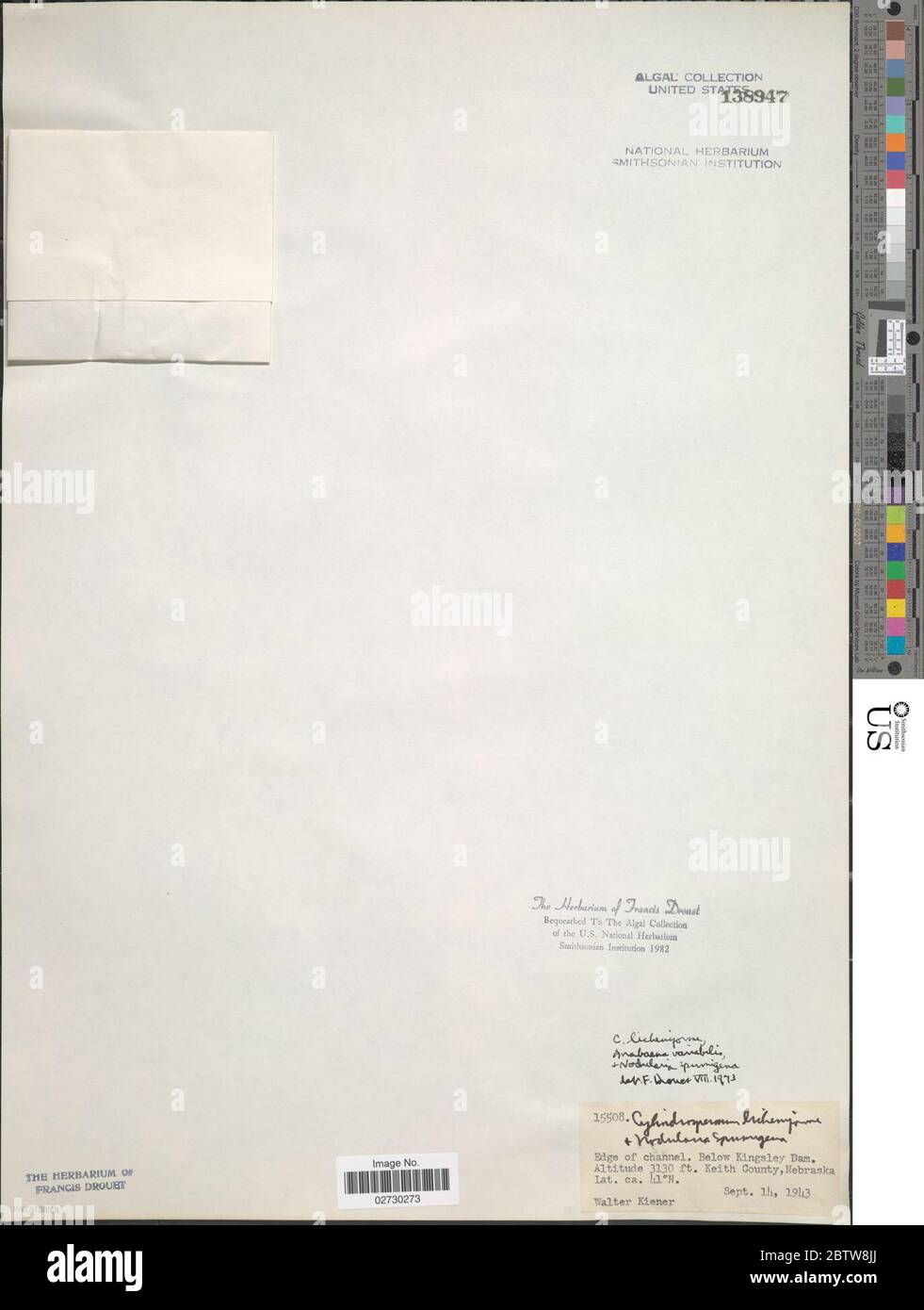 Anabaena bacteria hi-res stock photography and images - Alamy