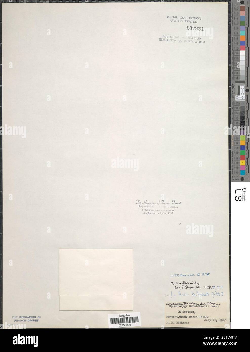 Anabaena bacteria hi-res stock photography and images - Alamy