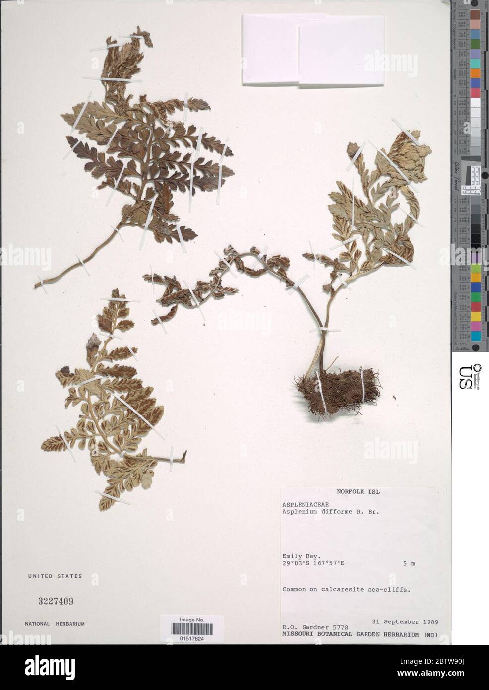 Difforme High Resolution Stock Photography and Images - Alamy