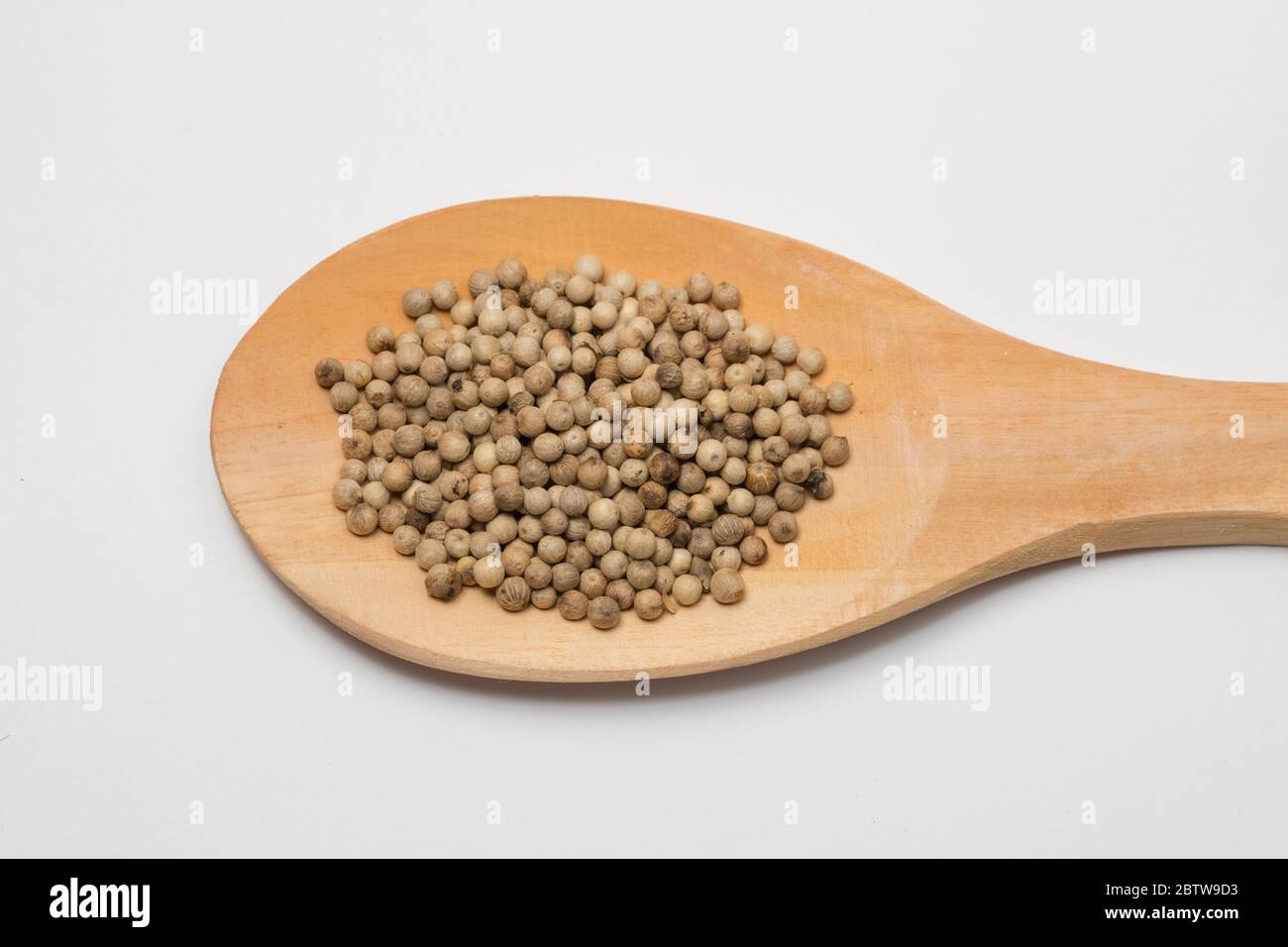 Closu-up image of white pepper on white background Stock Photo - Alamy