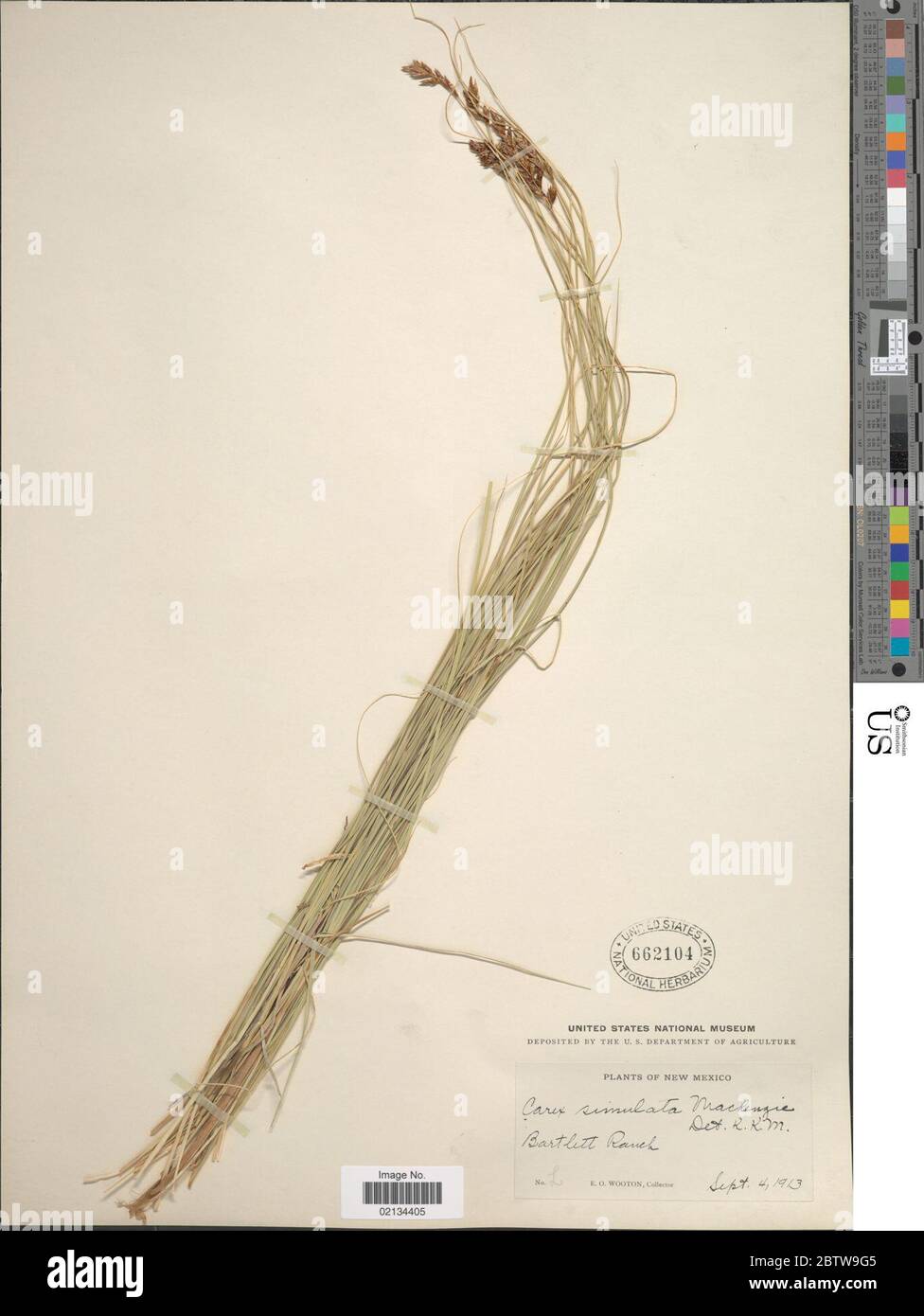 Simulata hi-res stock photography and images - Alamy