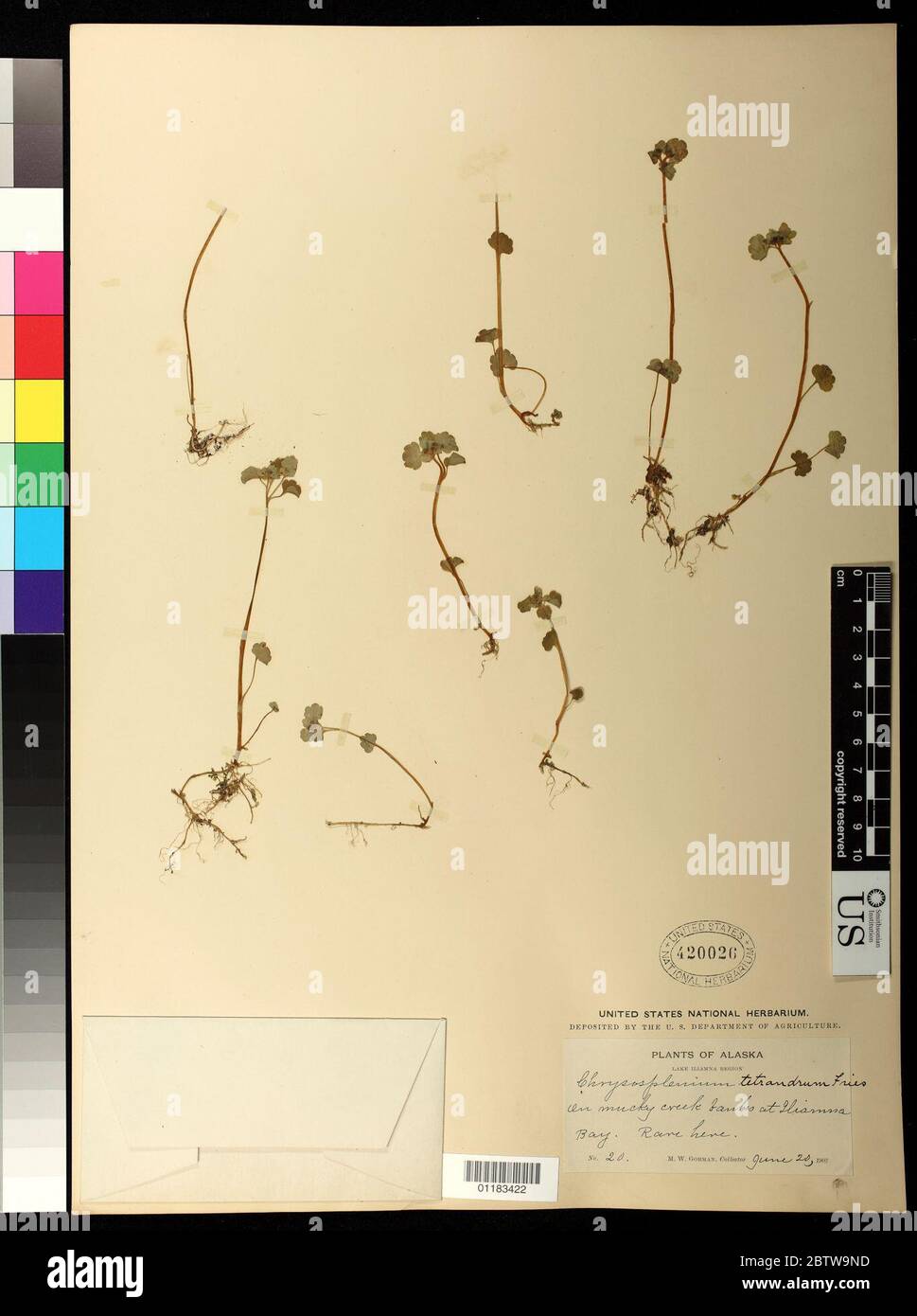 Lundell hi-res stock photography and images - Alamy