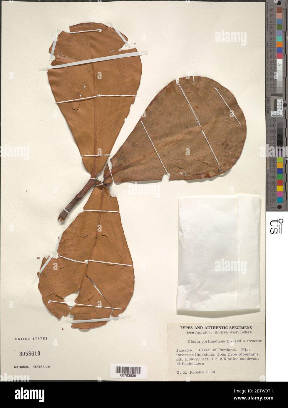 Howard proctor hi-res stock photography and images - Alamy