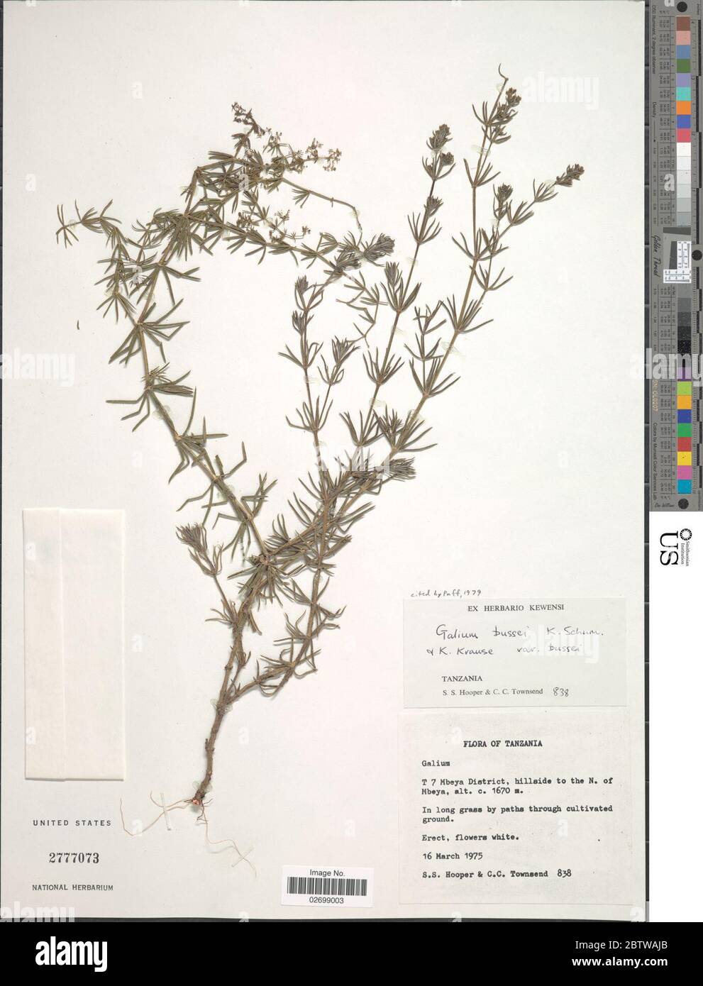 Bussei hi-res stock photography and images - Alamy