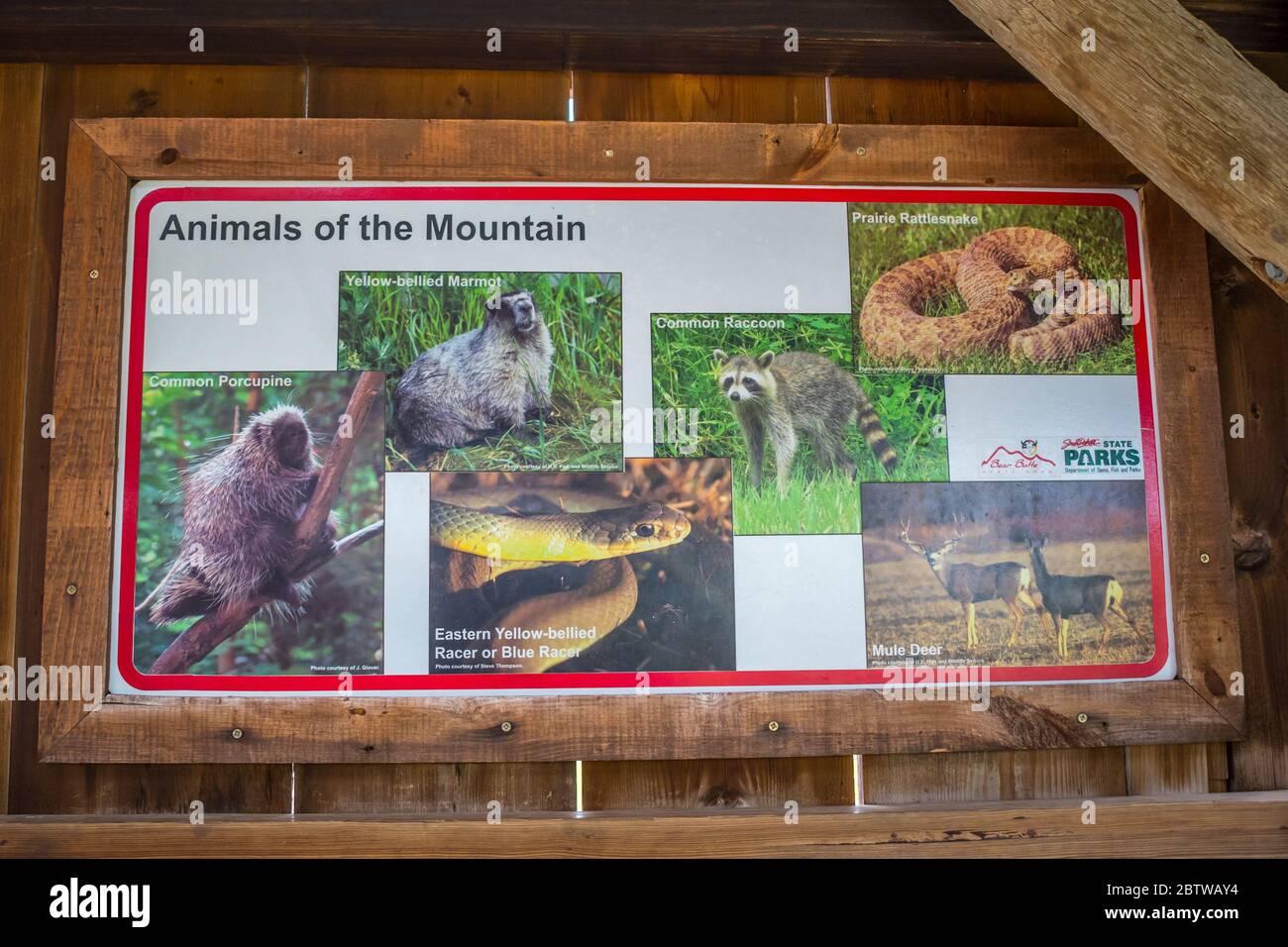 Bear Butte SP, SD, USA - May 29, 2019: Animals of the Mountain signage ...
