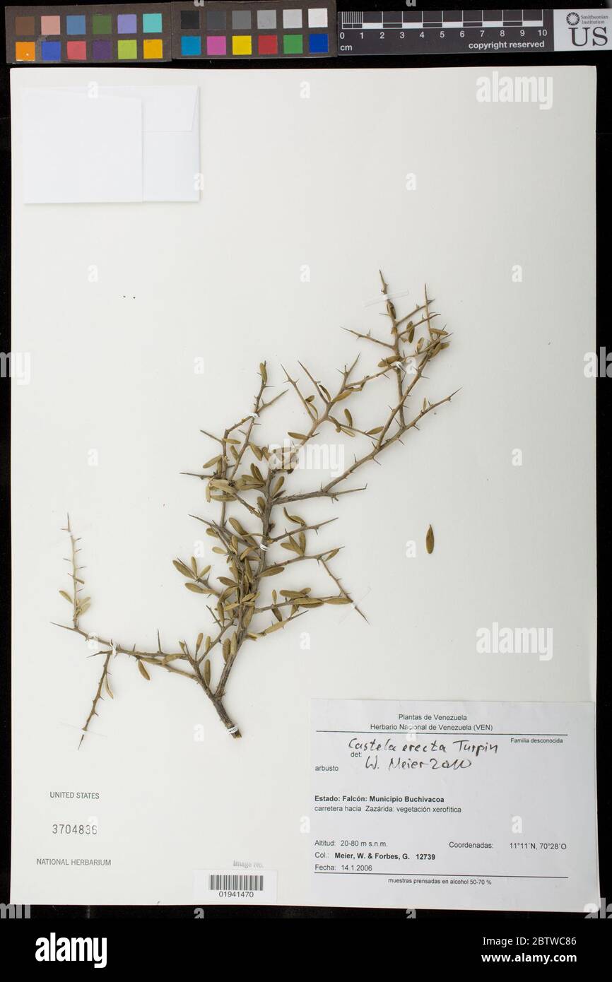 Turpin s hi-res stock photography and images - Alamy