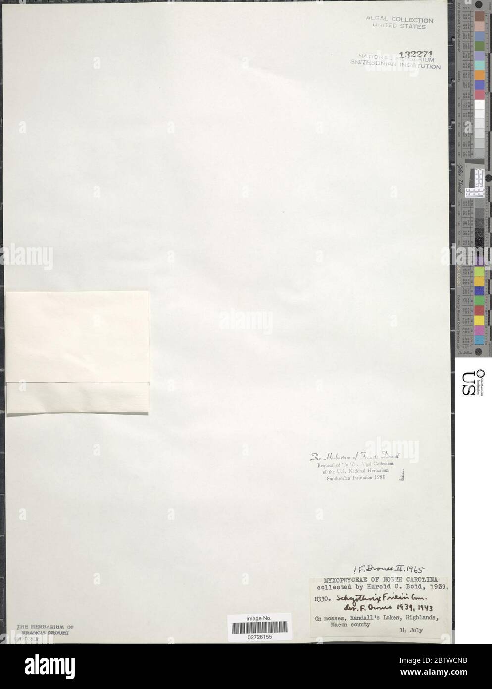 Schizothrix hi-res stock photography and images - Alamy