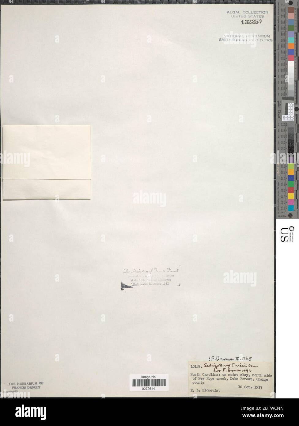 Schizothrix hi-res stock photography and images - Alamy