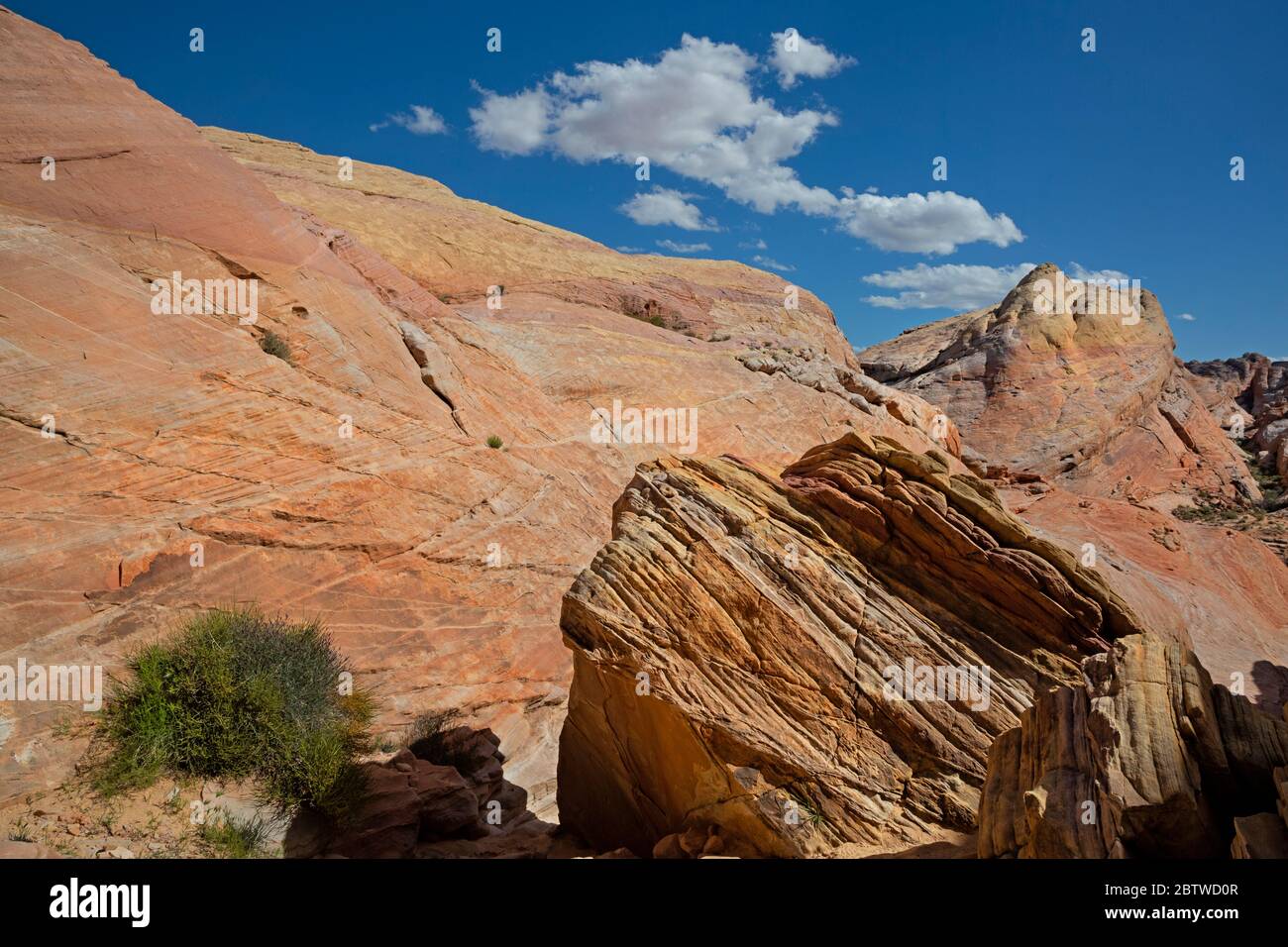 NV00122-00....NEVADA - Colorful rocks along the White Domes Loop Trail ...
