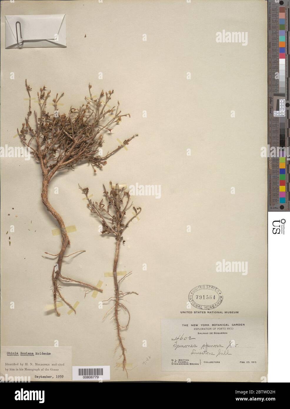 Boxiana hi-res stock photography and images - Alamy