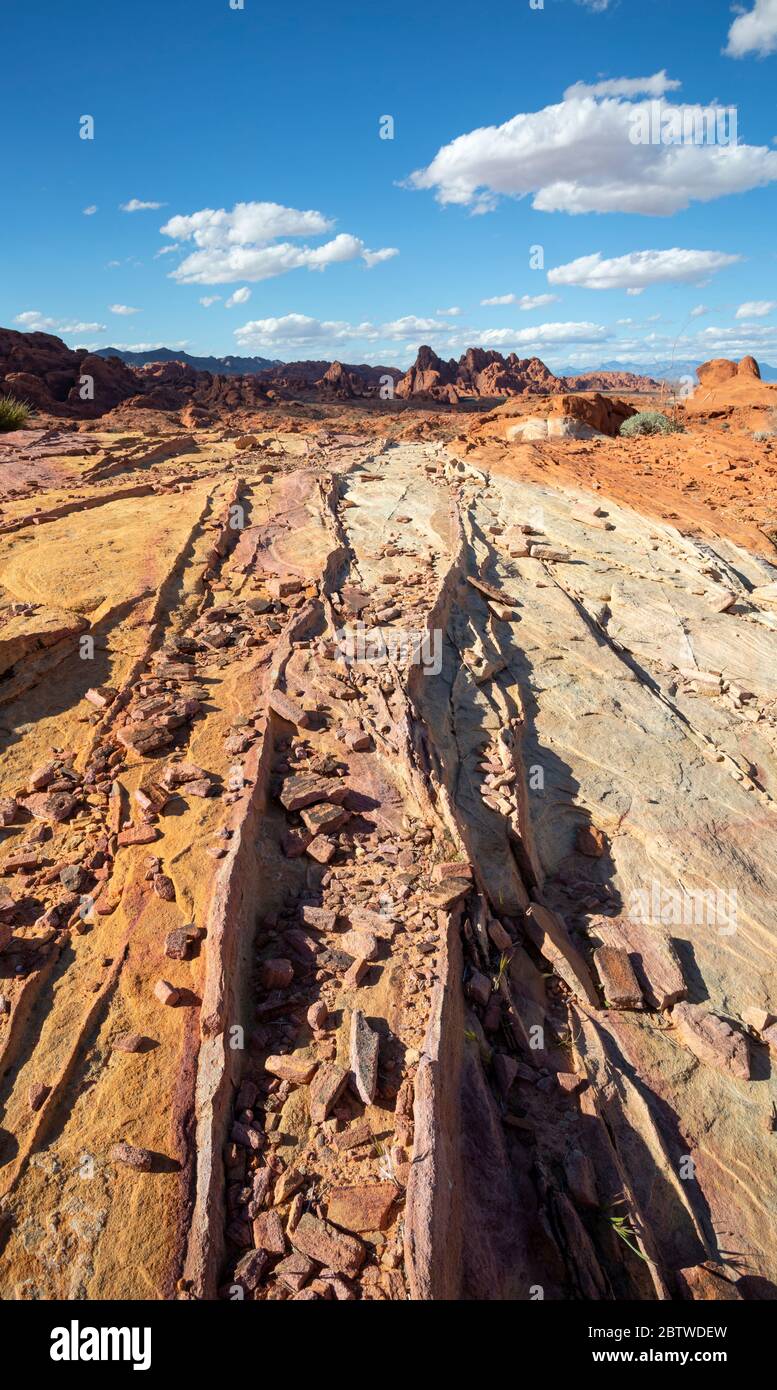 NV00134-00....NEVADA - Rubble covered sandstone with compression layers ...