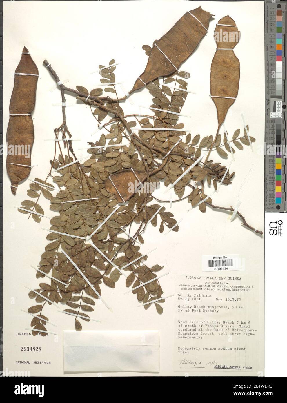 Kanis hi-res stock photography and images - Alamy